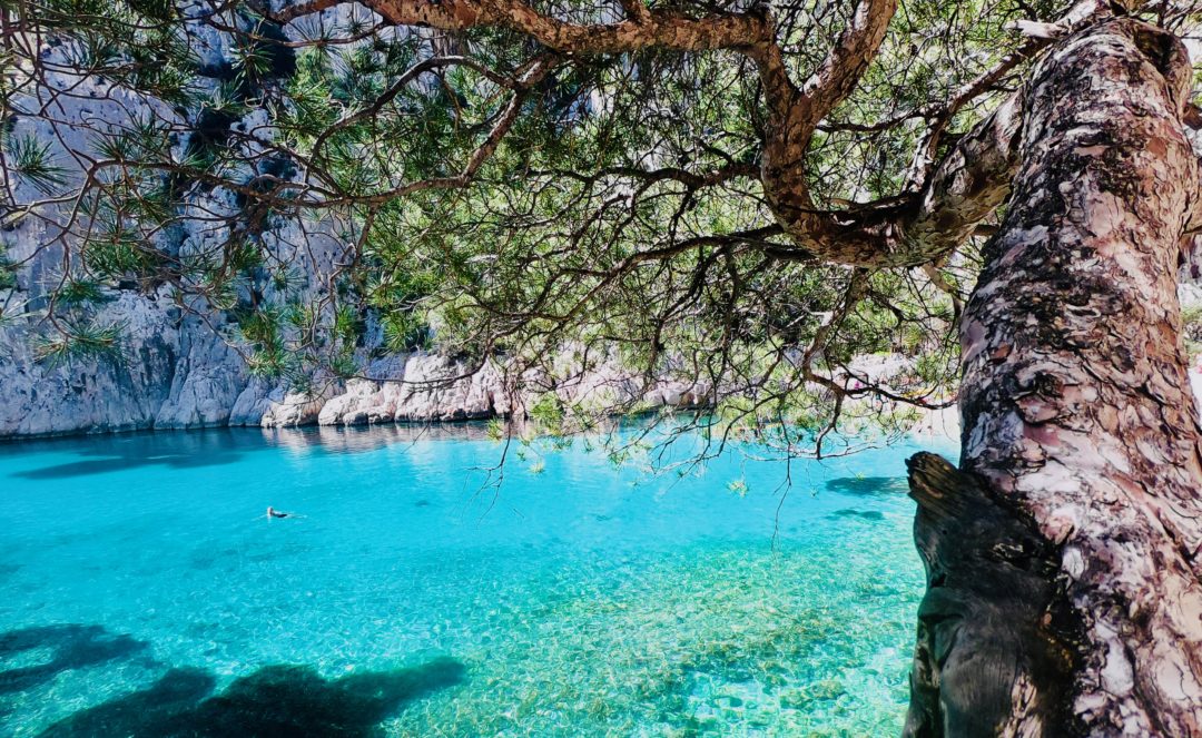 Kayaking tour in the calanques national park-Calanques Immersion-